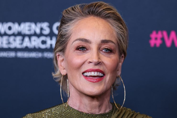 Sharon Stone to Shine as the Star Guest of the 2026 Vienna Opera Ball ...